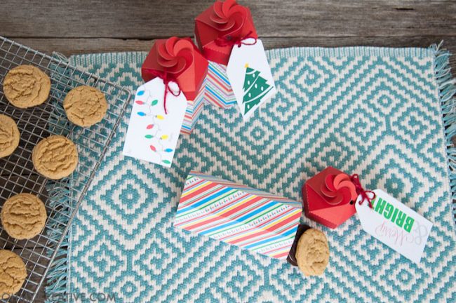 DIY Cookie Box Gift Printable - Oh My Creative