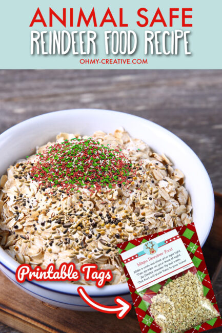 Animal Safe Reindeer Food Recipe - Oh My Creative
